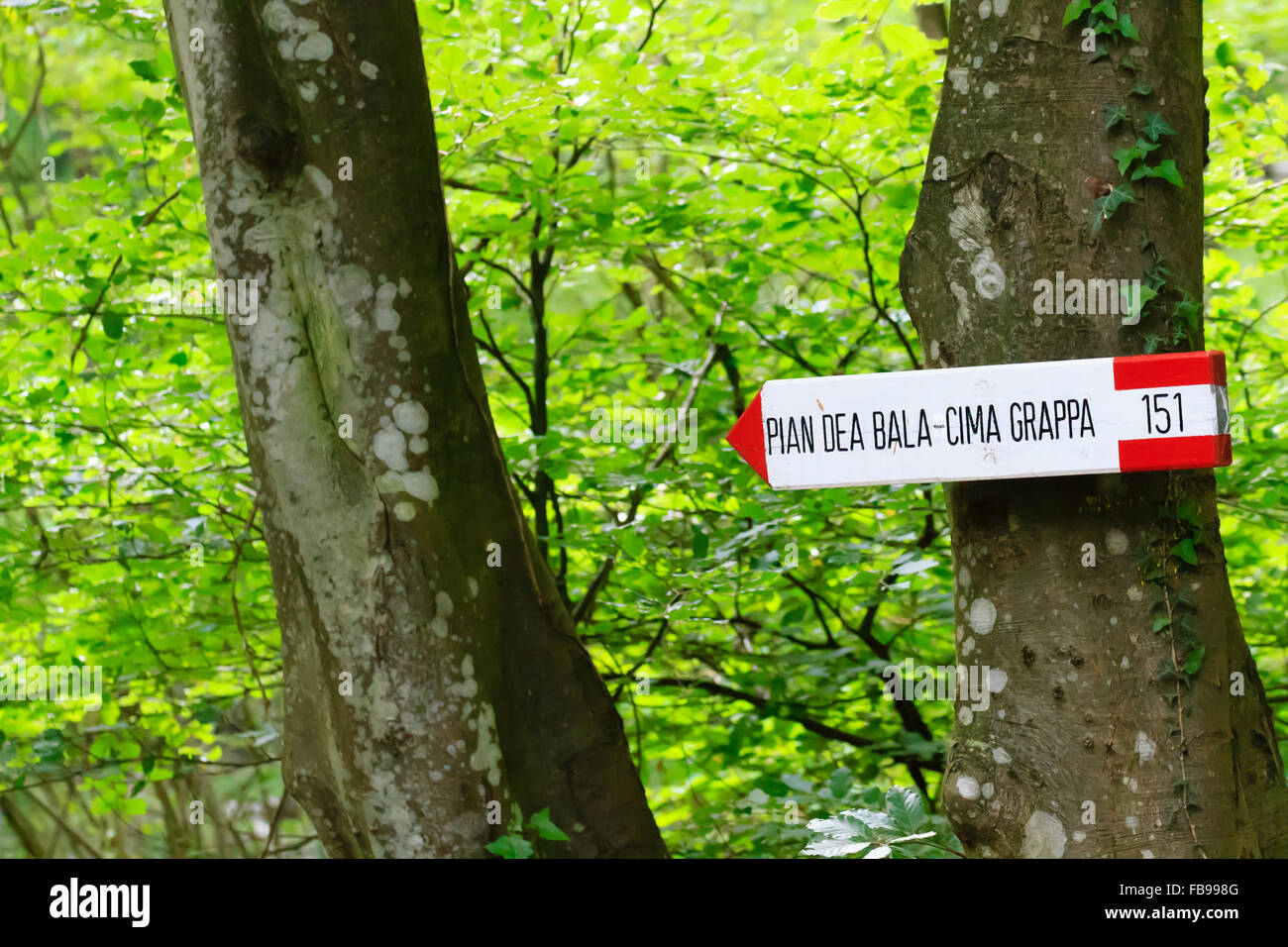 Close up of an isolated signboard along a trekking path. Direction ...