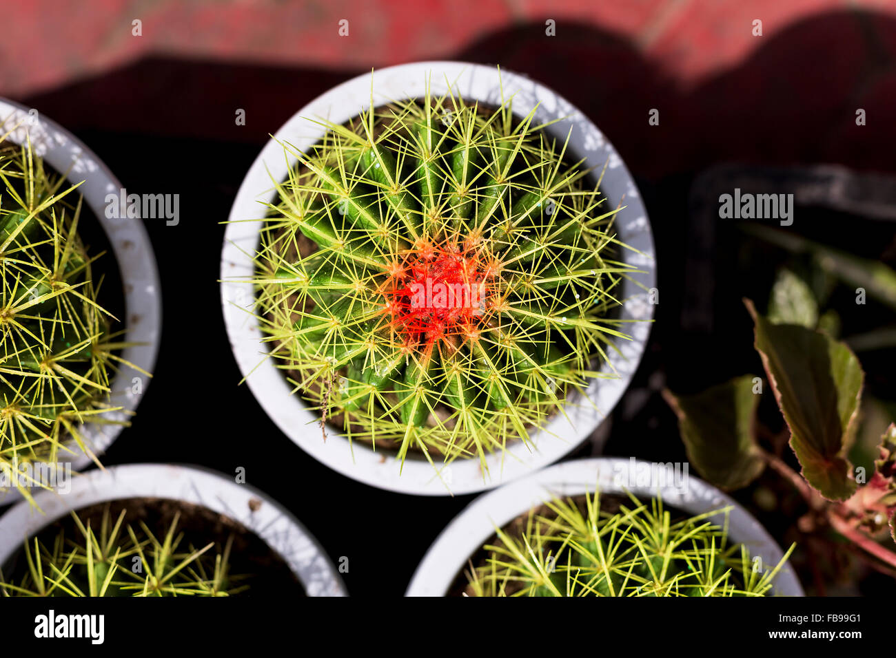 Ulaanbaatar Pattern High Resolution Stock Photography and Images - Alamy