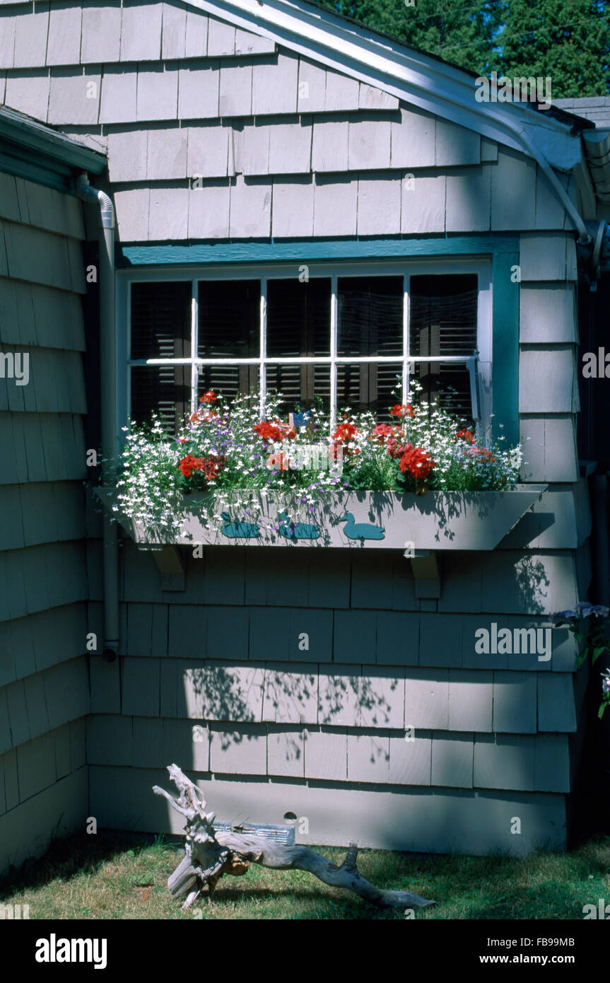 Window boxes geraniums hi-res stock photography and images - Alamy