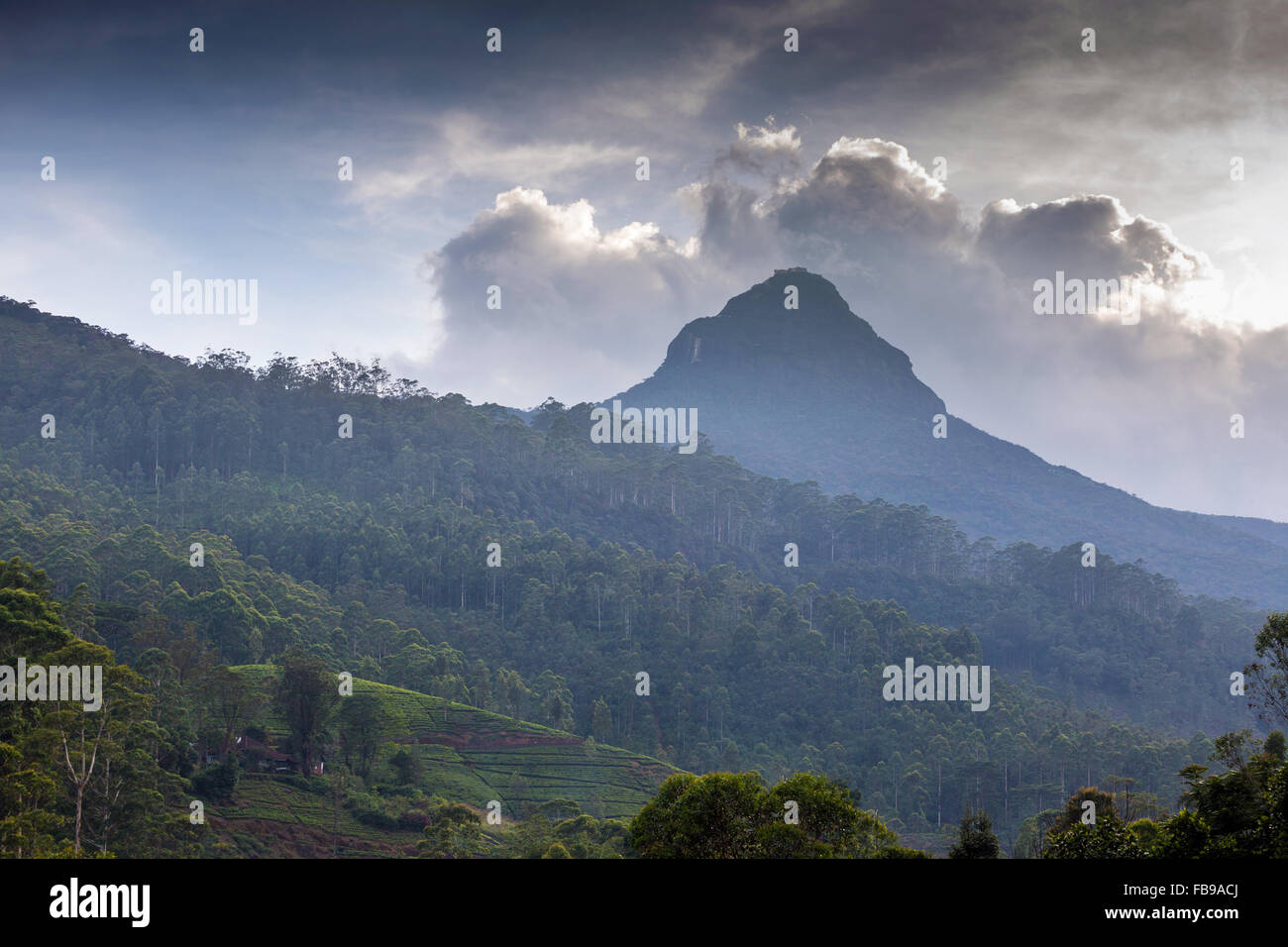 Amazing view of Adam's Peak (Sri Pada) in Sri Lanka, Asia Stock Photo ...