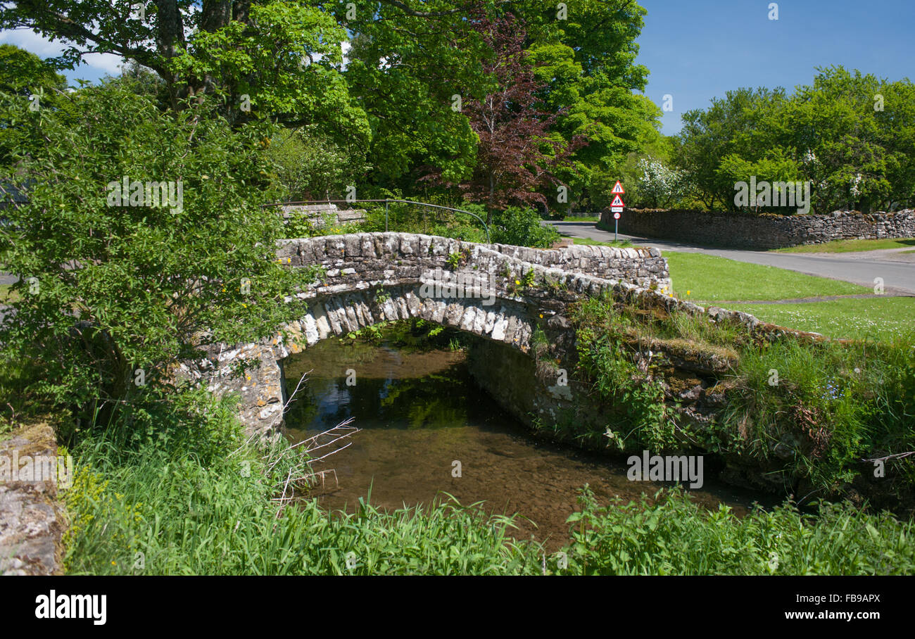 Packhorse Bridge at Crosby ravensworth Stock Photo - Alamy