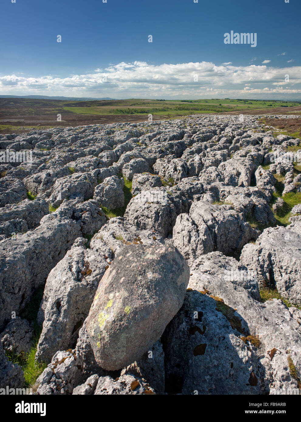 Limestone Pavement and Glacial Erratic Stock Photo - Alamy