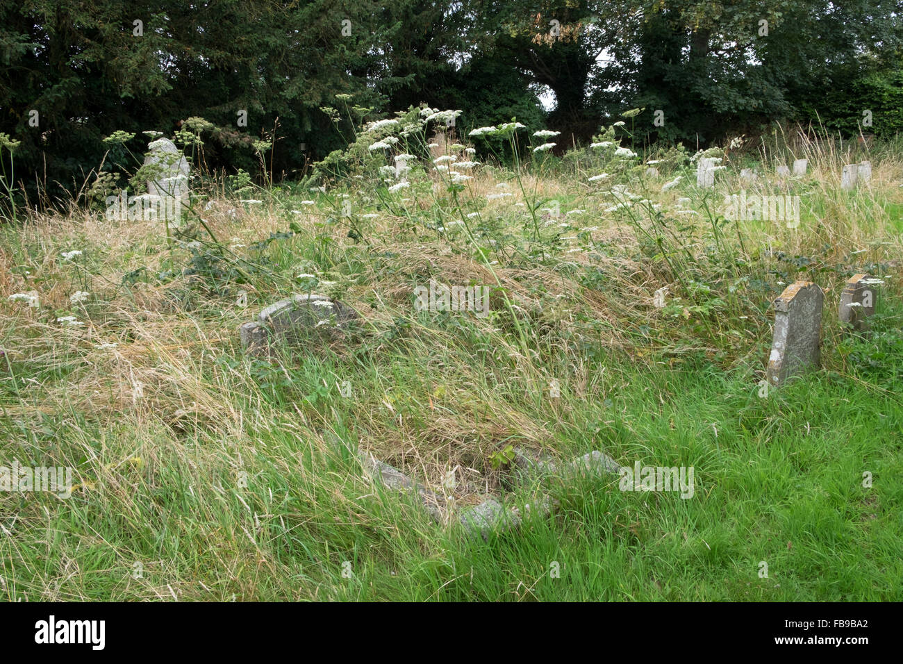 An overgrown graveyard uk hi-res stock photography and images - Alamy