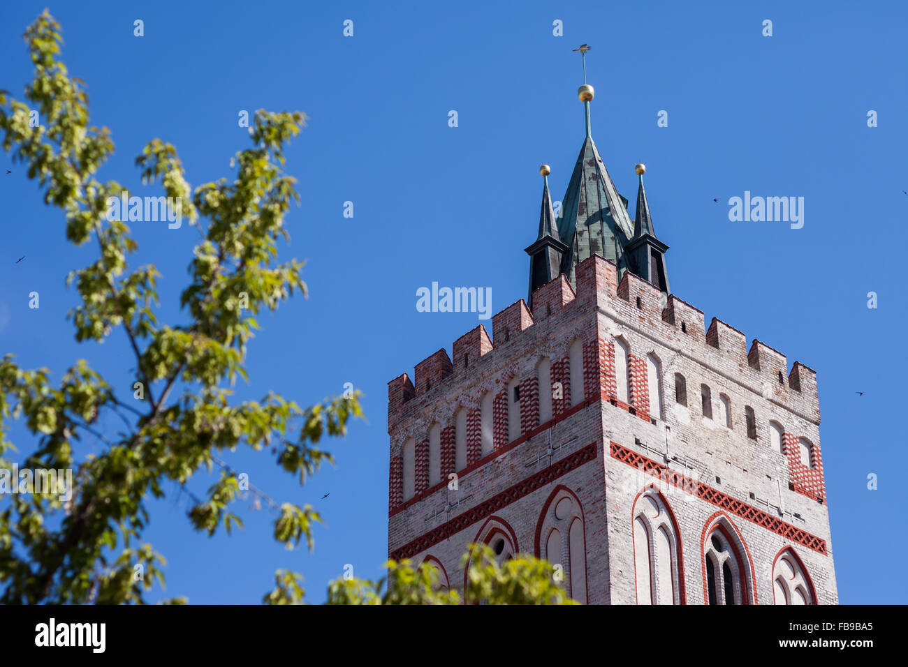Tower of St. Mary's Church (Marienkirche), Frankfurt (Oder), Germany ...