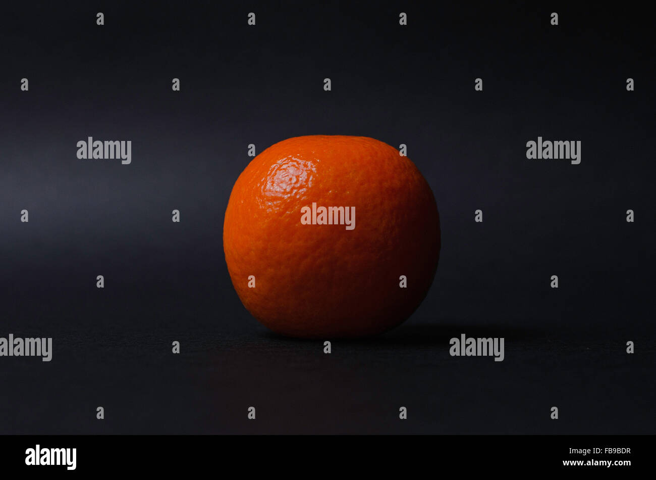 Mandarin on a black background with a medium soft light from the side ...
