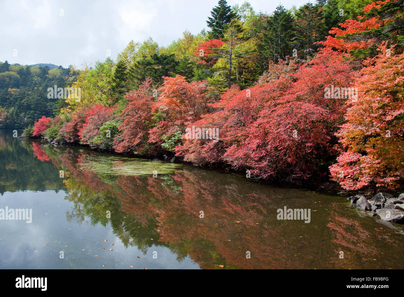 Tochigi area hi-res stock photography and images - Alamy