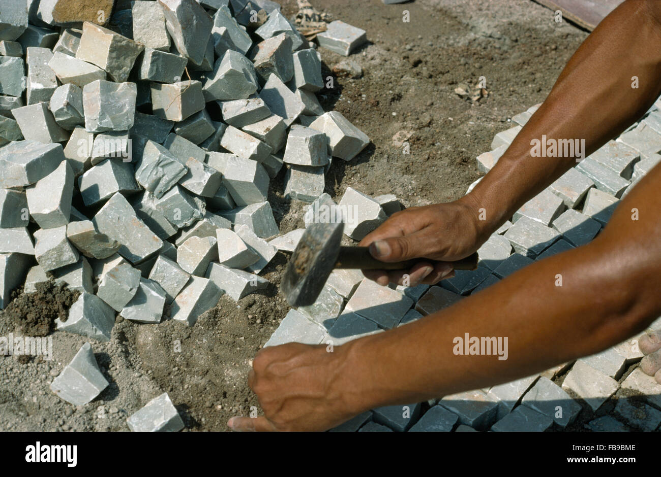 Close-up of hands laying tiled paving Stock Photo - Alamy