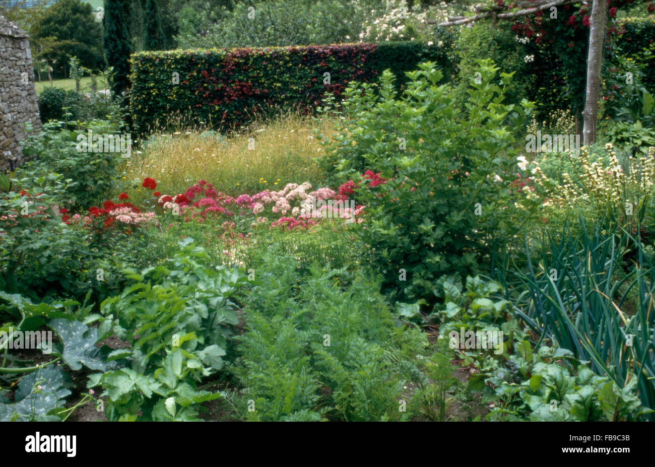 Country vegetable garden hi-res stock photography and images - Alamy