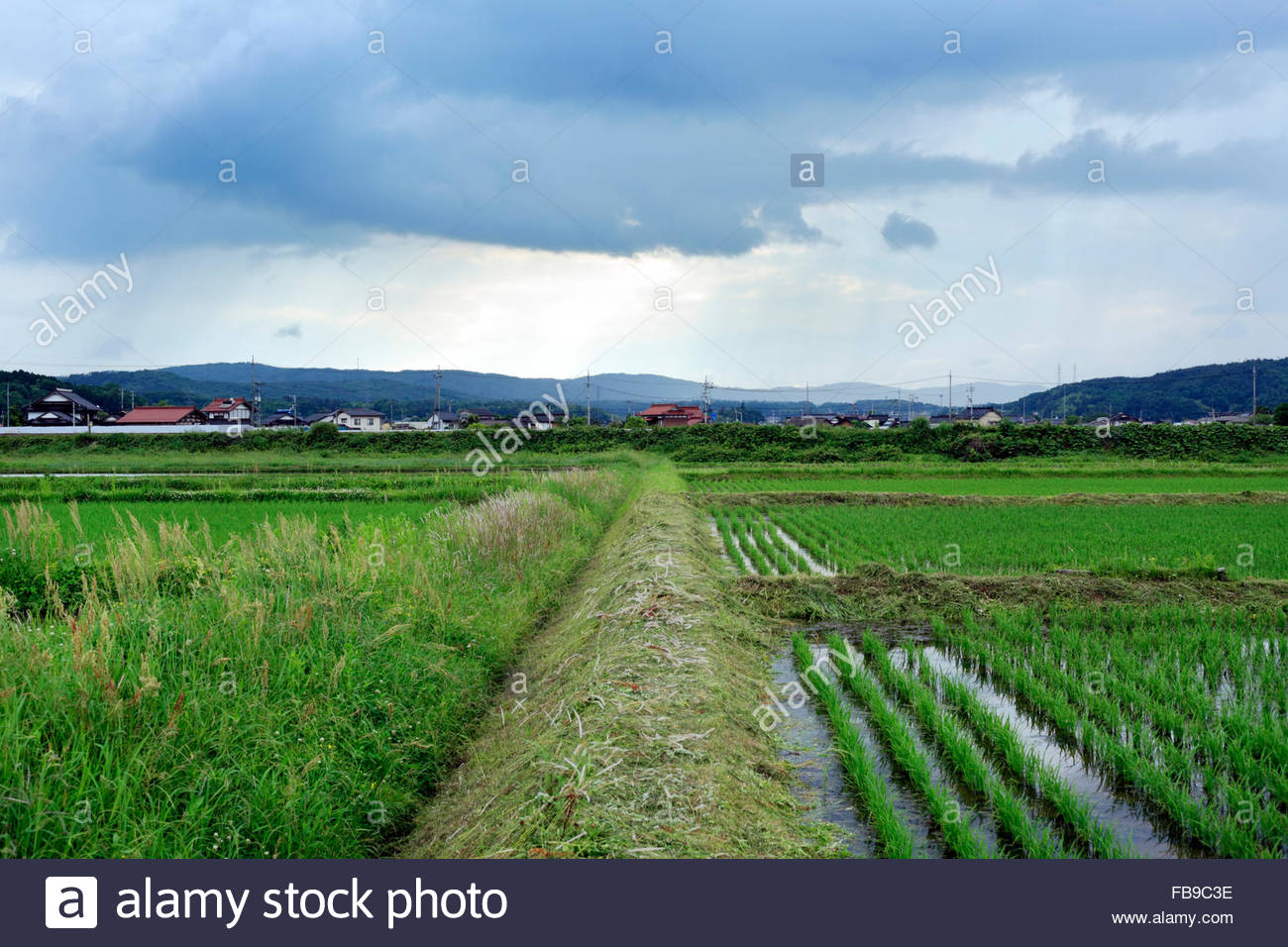 Hiroshima Ken Stock Photos & Hiroshima Ken Stock Images - Alamy