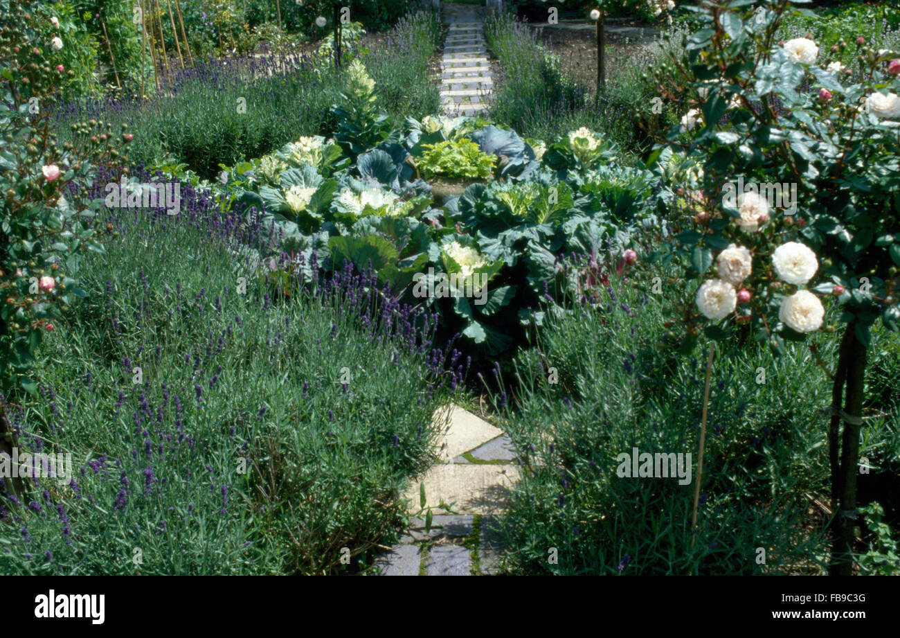 Triangular plot hi-res stock photography and images - Alamy