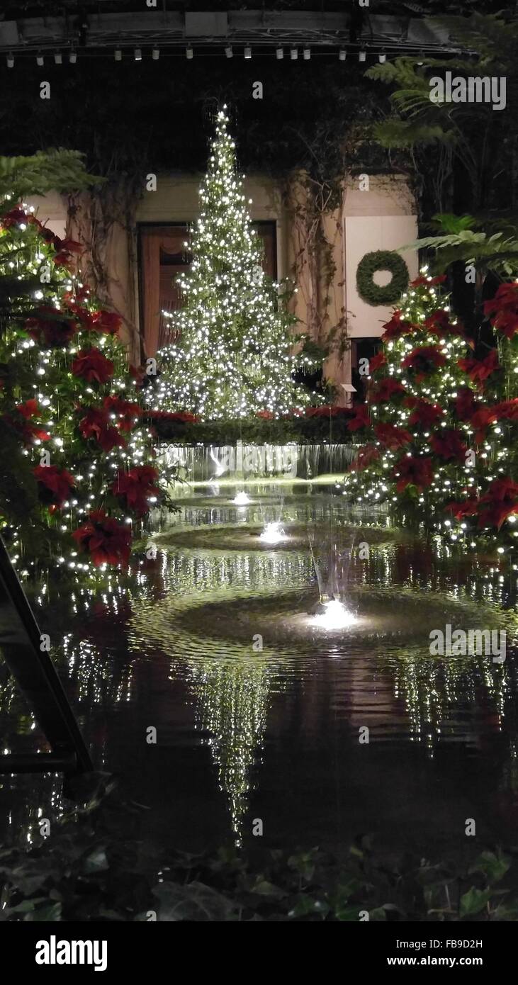 Tree Display High Resolution Stock Photography and Images - Alamy