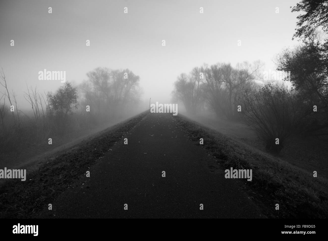 Path going off into the distance on a foggy day Stock Photo - Alamy