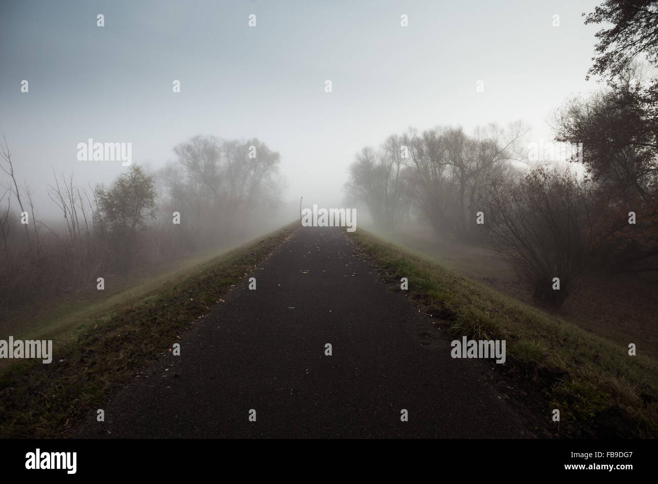 Path going off into the distance on a foggy day Stock Photo - Alamy
