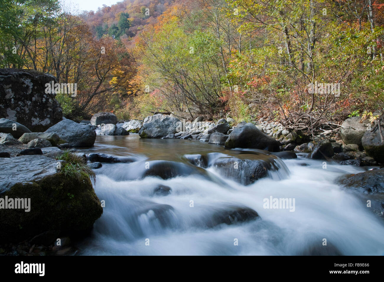 Shiga Plateau in autumn, Nagano, Japan Stock Photo - Alamy