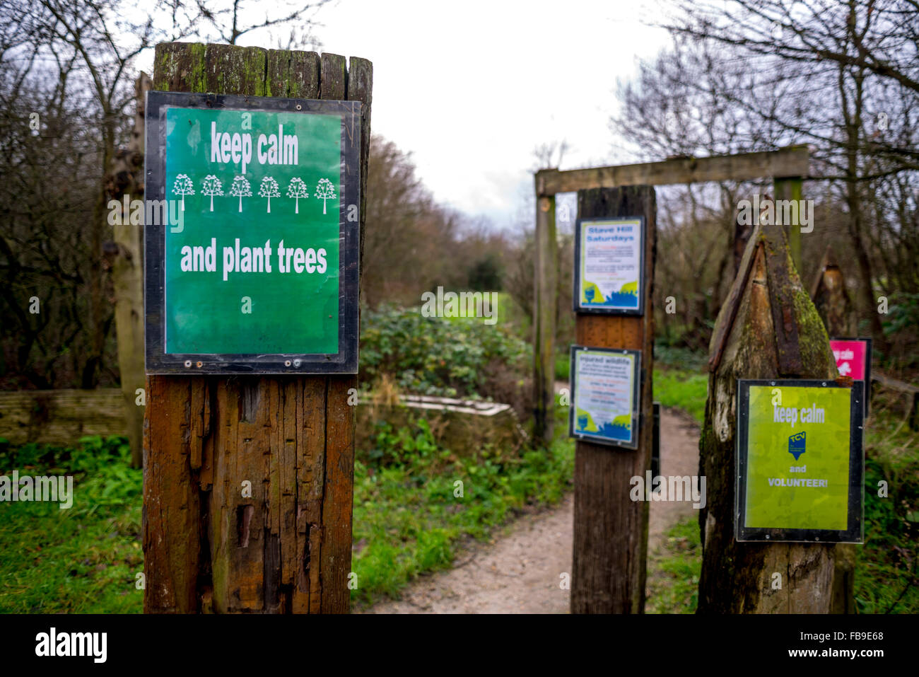 Environment park hi-res stock photography and images - Alamy