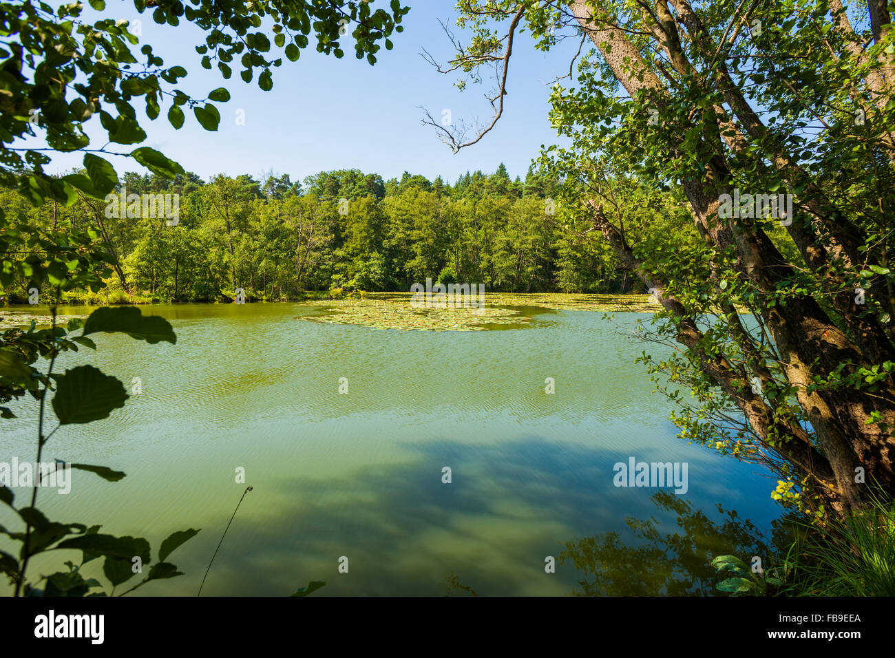 Lake on the Schlaubetal hiking trail, Brandenburg, Germany Stock Photo ...