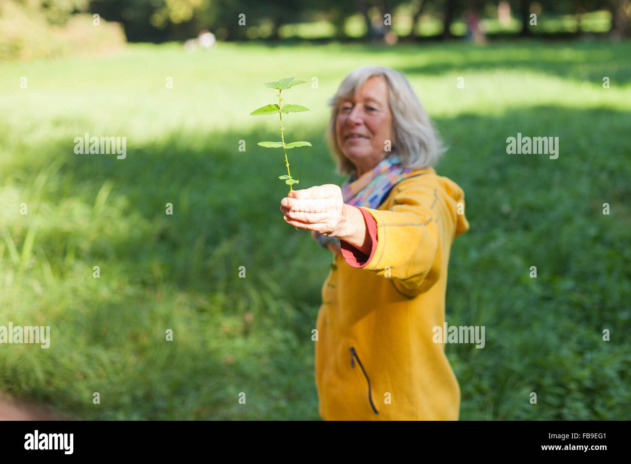 German edible wild herb expert Heidemarie Fritsche leads a herb walk through Schlossgarten ...