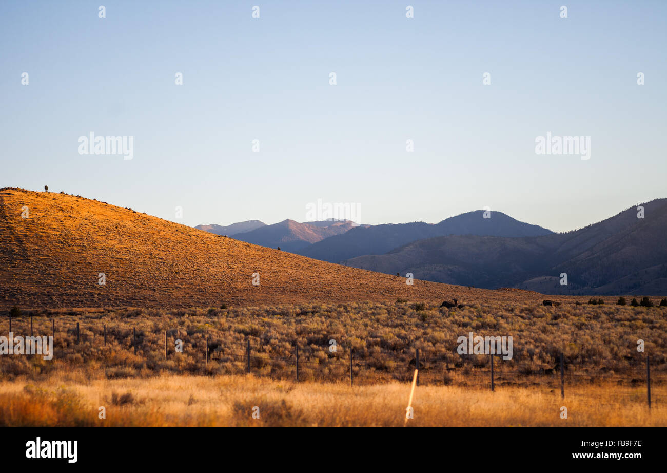 View over desert farmland, rural Washington State Stock Photo - Alamy