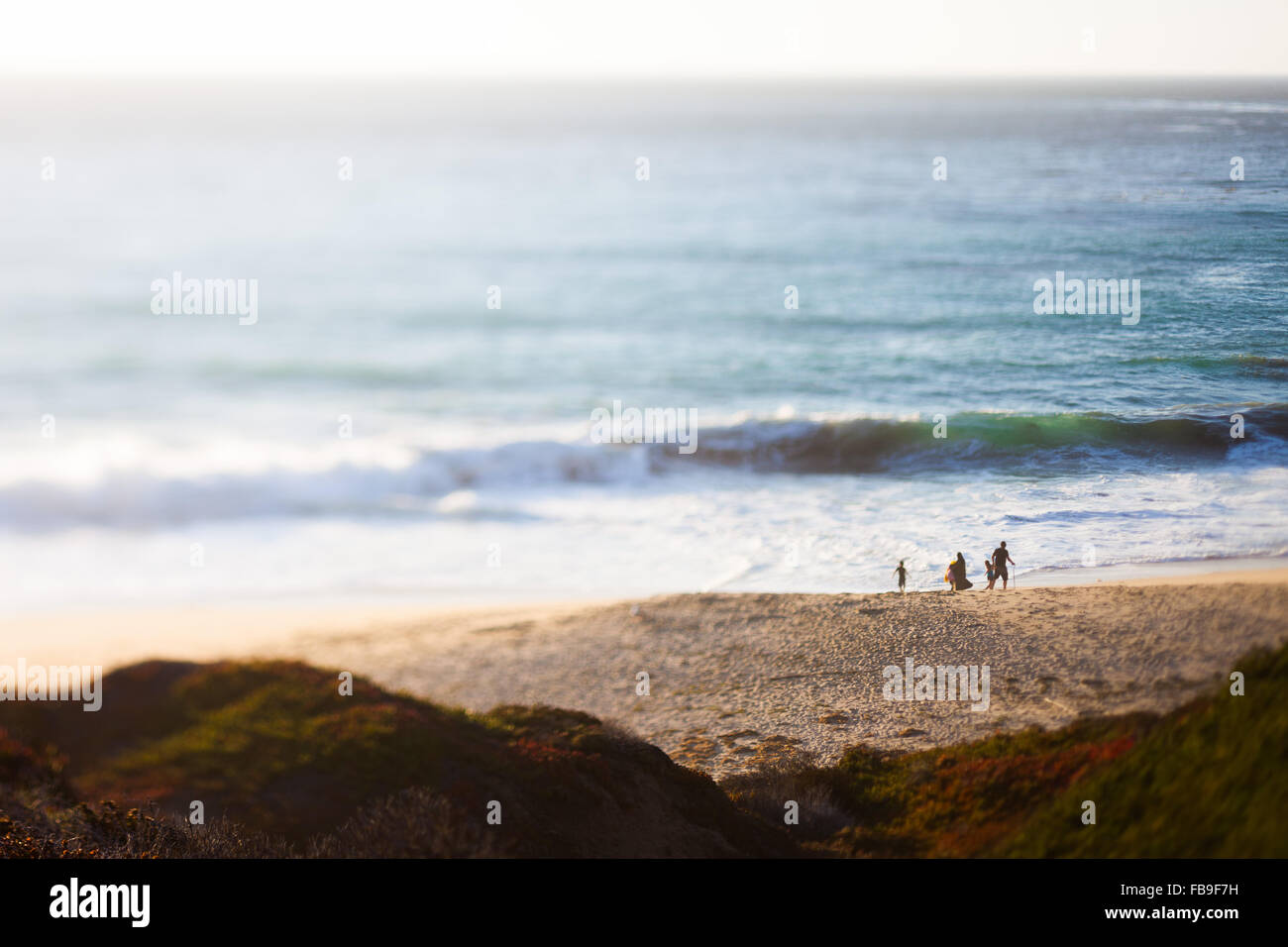 California sea otter hi-res stock photography and images - Alamy