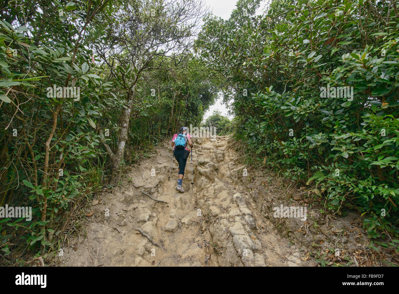 Hiking on the Dragon's Back trail, Hong Kong Stock Photo - Alamy