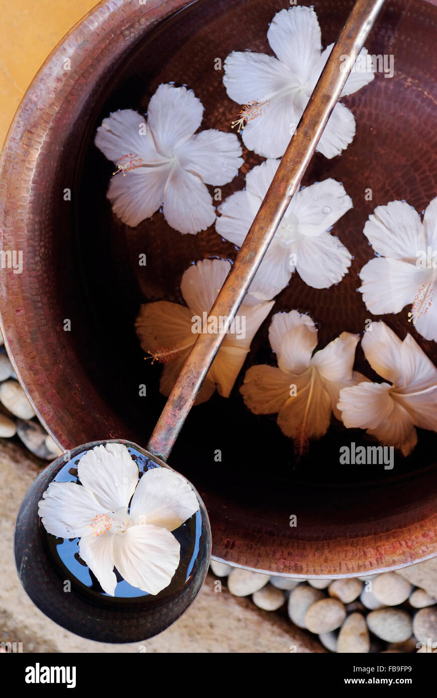 Floating flowers on bowl Stock Photo - Alamy