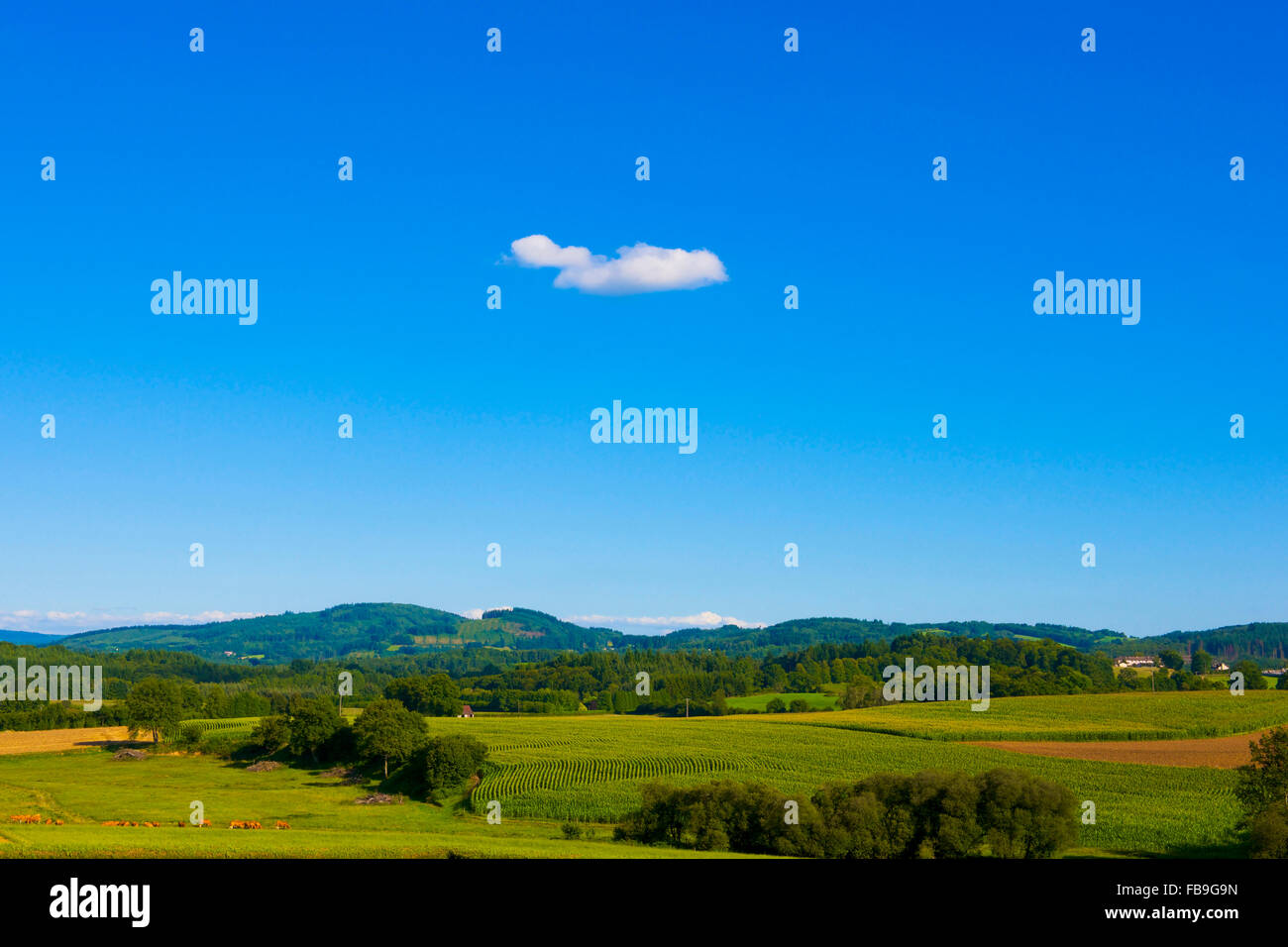 Limousin region in France Stock Photo - Alamy