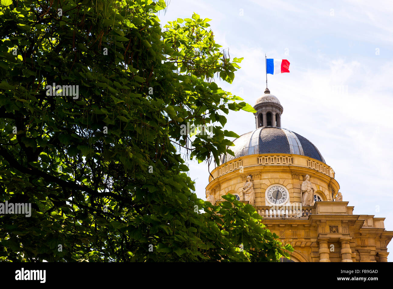 Senate building in Paris, France Stock Photo - Alamy