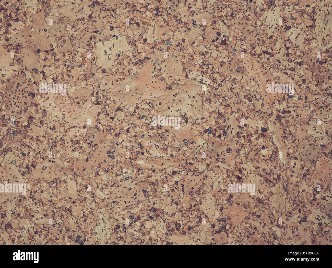 The structure of cork coverings Stock Photo - Alamy