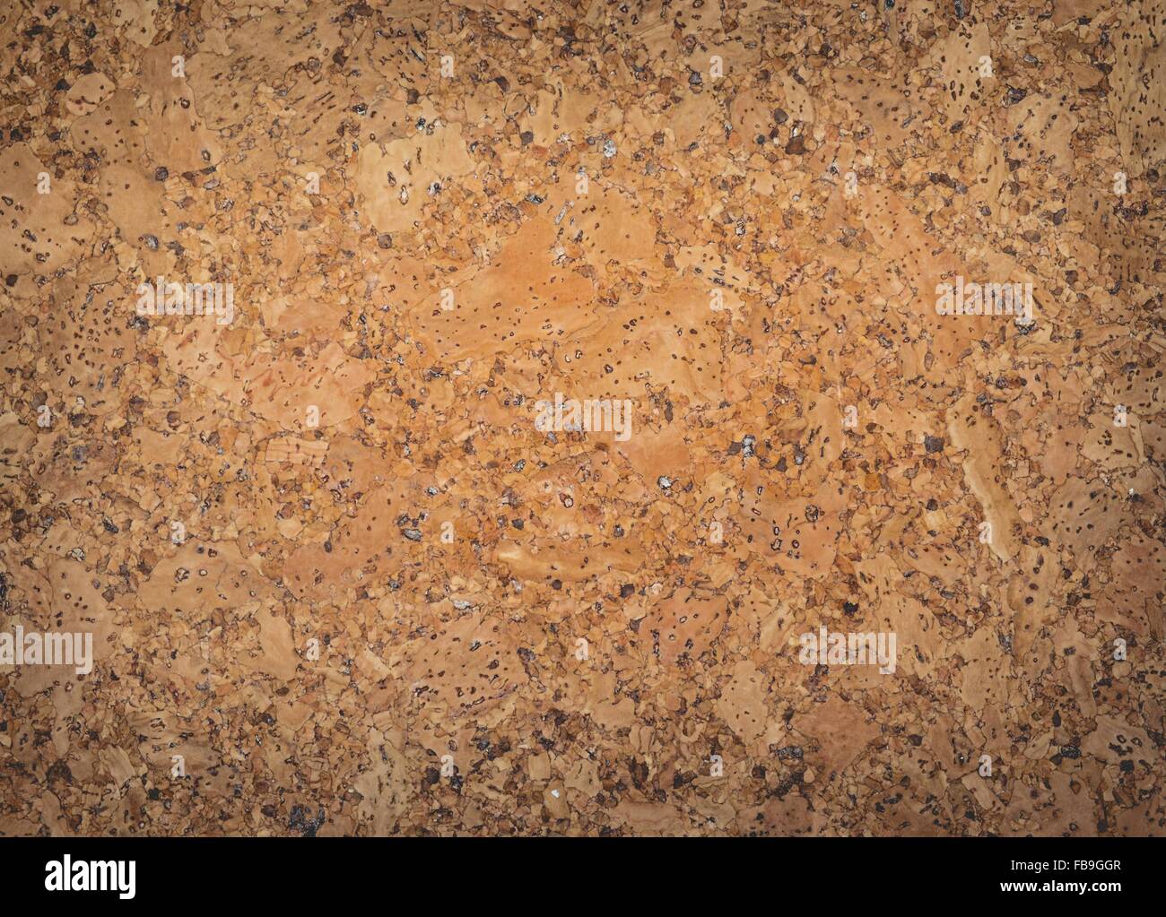 The structure of cork coverings Stock Photo - Alamy
