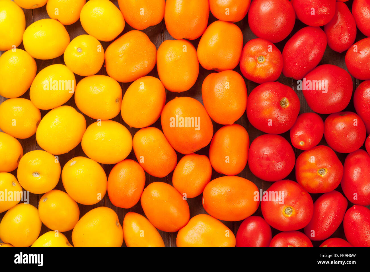 Colorful tomatoes. Yellow, orange and red. Closeup texture Stock Photo ...