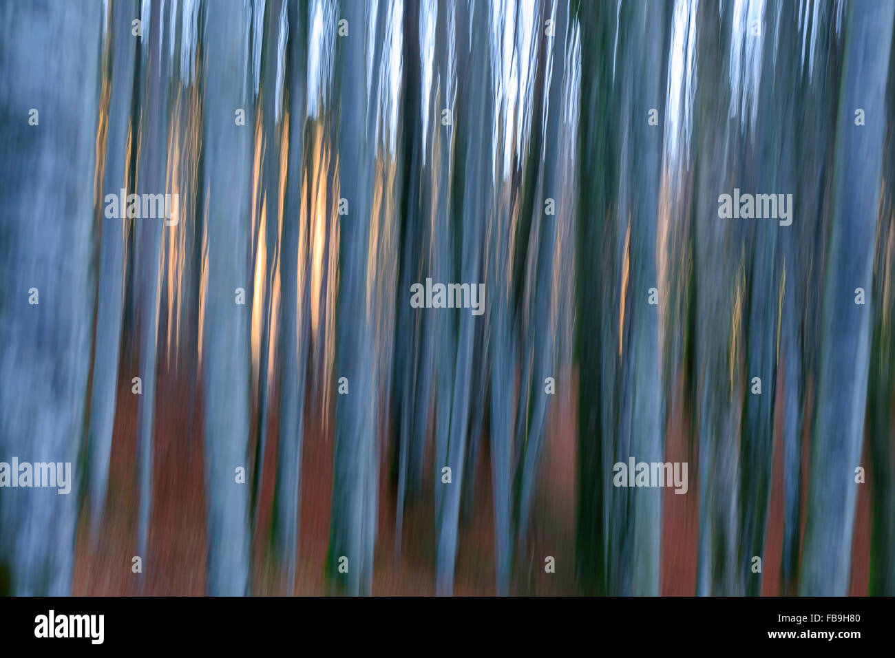 Blurred trees landscape hi-res stock photography and images - Alamy