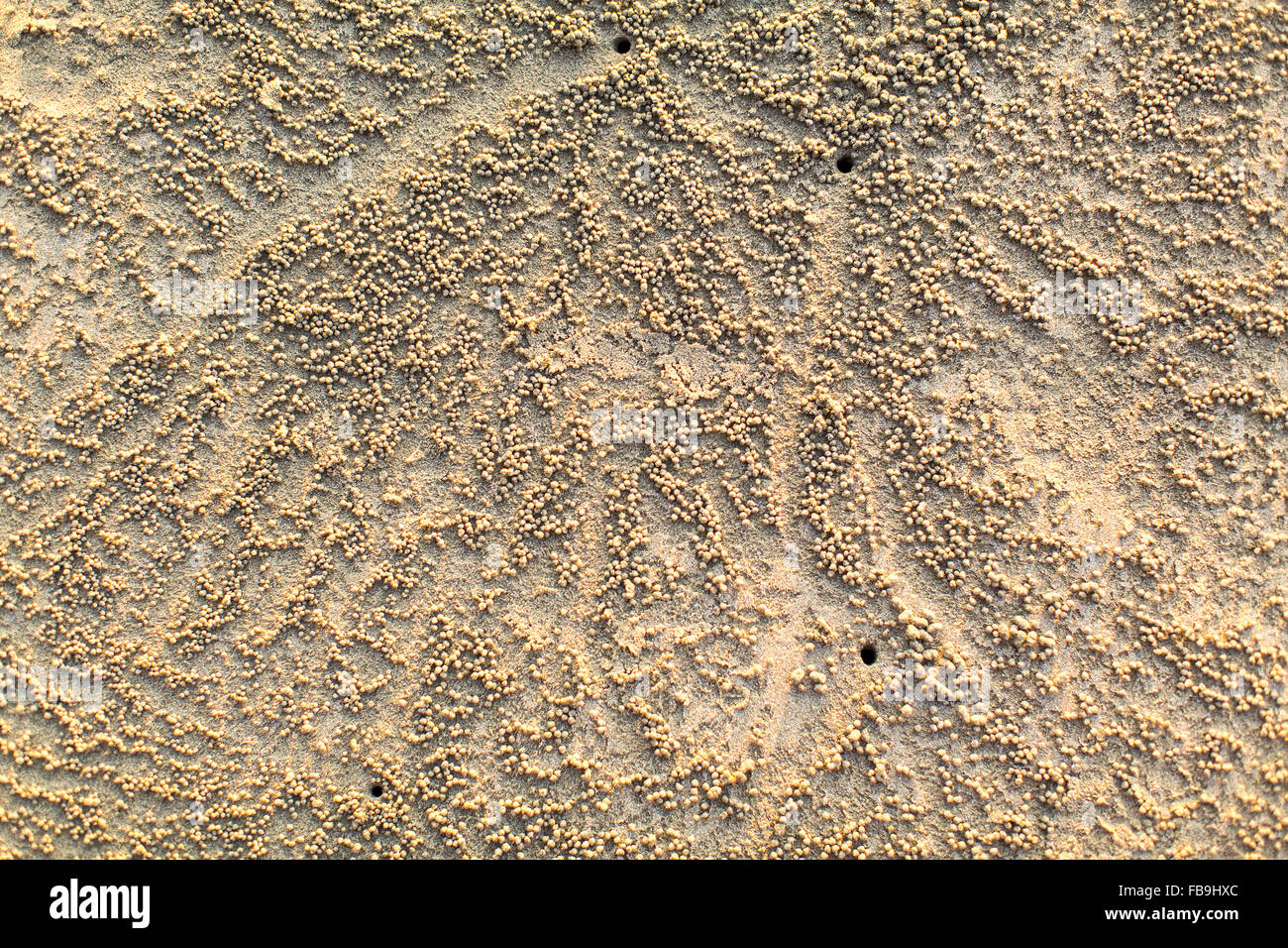 Light Beach sand texture Stock Photo - Alamy