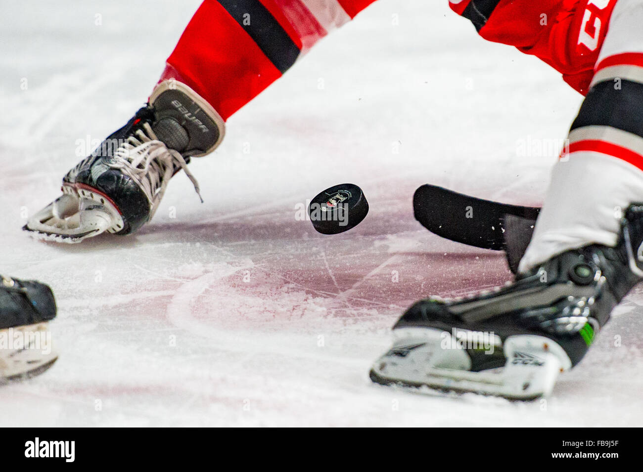 The ref drops the puck during the AHL game between the Grand Rapids ...
