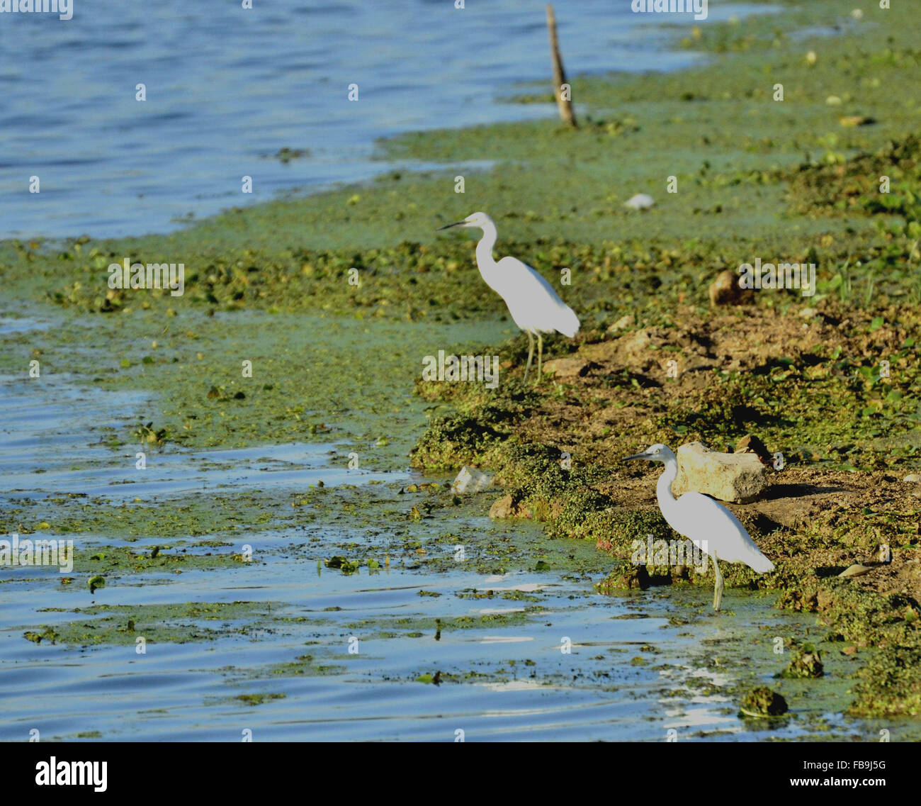 China. 2nd Oct, 2015. October 2 2015: (EDITORIAL USE ONLY. CHINA OUT ...