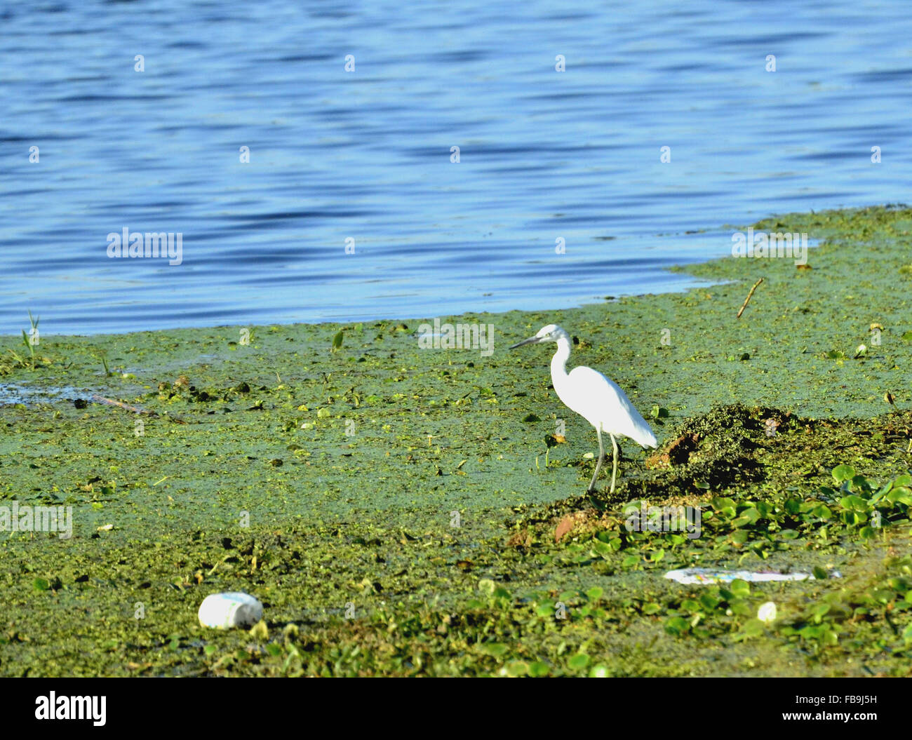 China. 2nd Oct, 2015. October 2 2015: (EDITORIAL USE ONLY. CHINA OUT ...