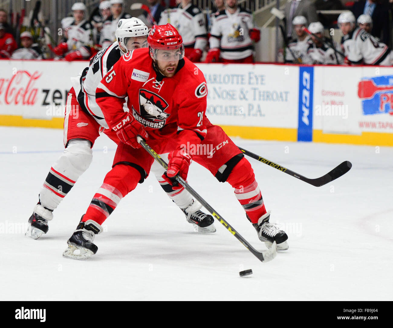 Charlotte Checkers C Ethan Werek (25) during the AHL game between the ...
