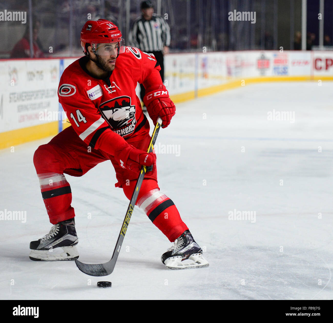 Charlotte Checkers LW Justin Shugg (14) during the AHL game between the ...