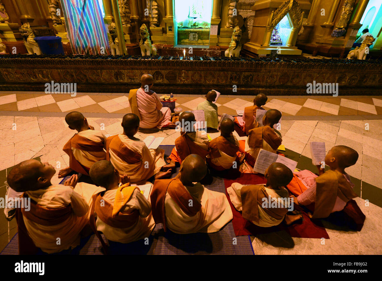 Young nuns chanting from a prayer book during dawn at the Shwedagon ...