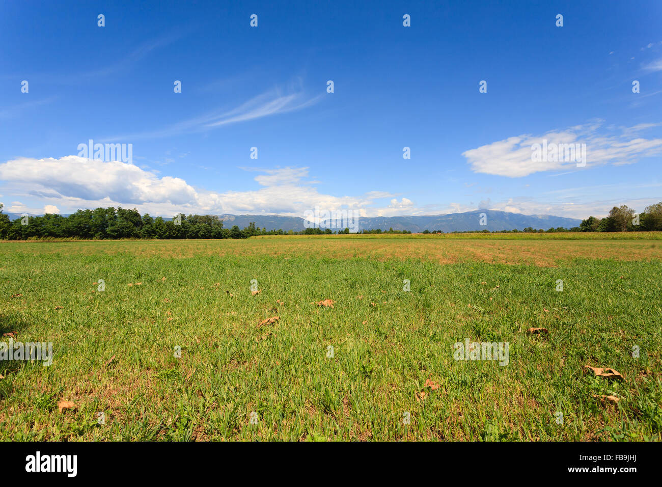 Uncultivated field with mountains in background. Italian agriculture ...