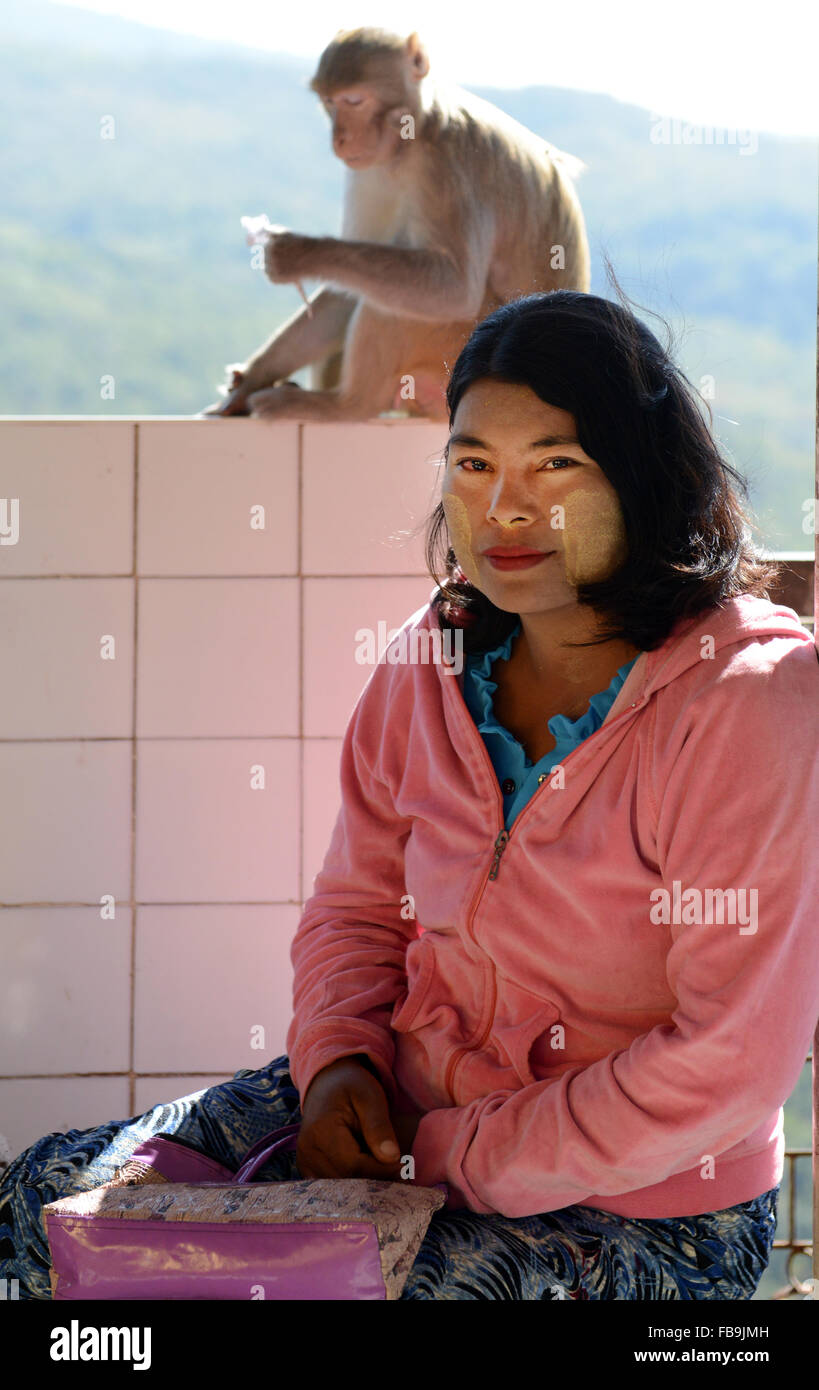 Burmese Monkey High Resolution Stock Photography and Images - Alamy