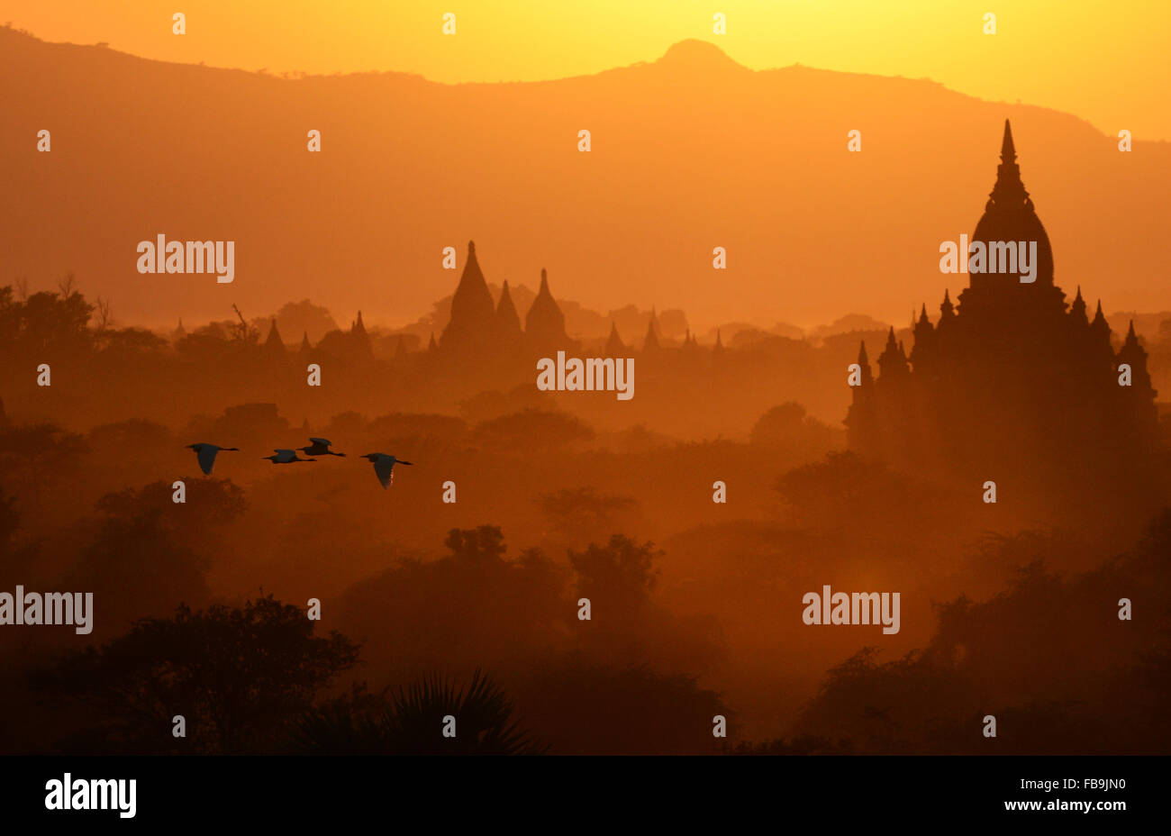 A beautiful sunset over the Buddhist temples in Bagan Stock Photo - Alamy