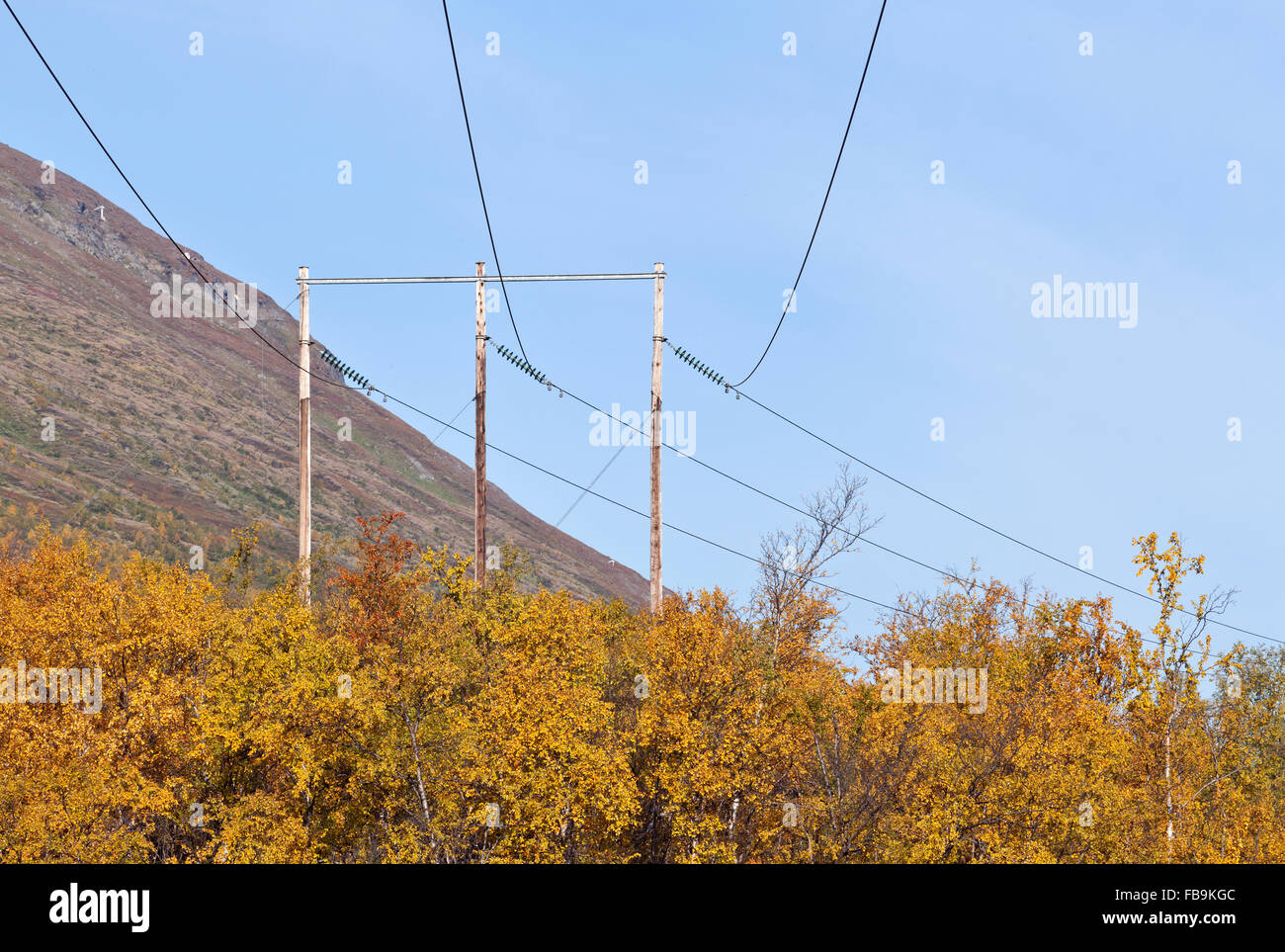 Power line in the birch forest, wires of electricity transmissions ...