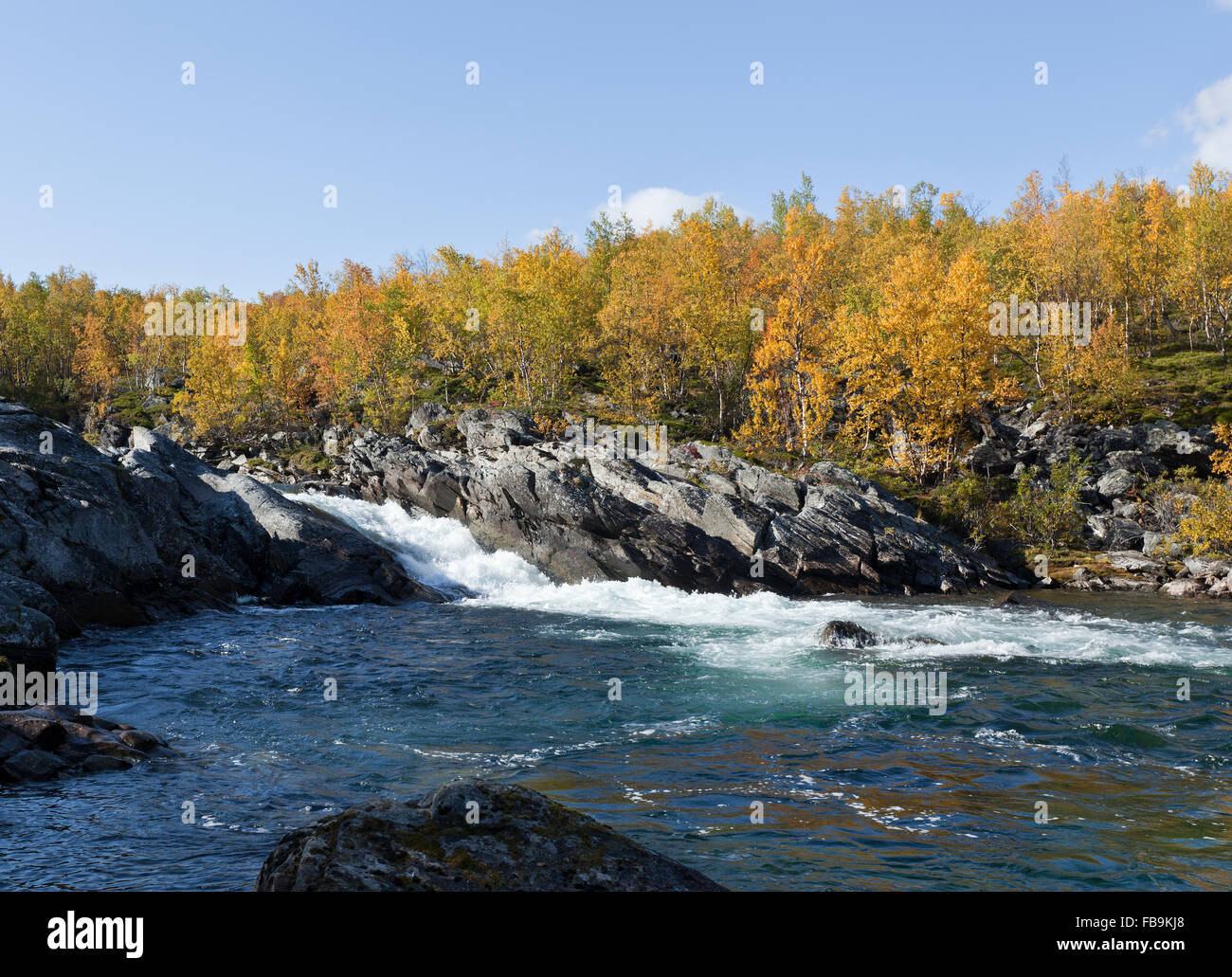 A waterfall in a short river up North. Colorful autumn, fall leaves in ...