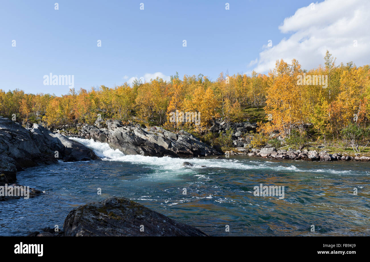 A waterfall in a short river up North. Colorful autumn, fall leaves in ...