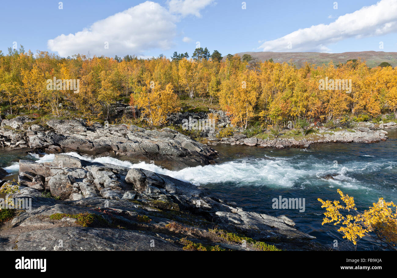 A waterfall in a short river up North. Colorful autumn, fall leaves in ...