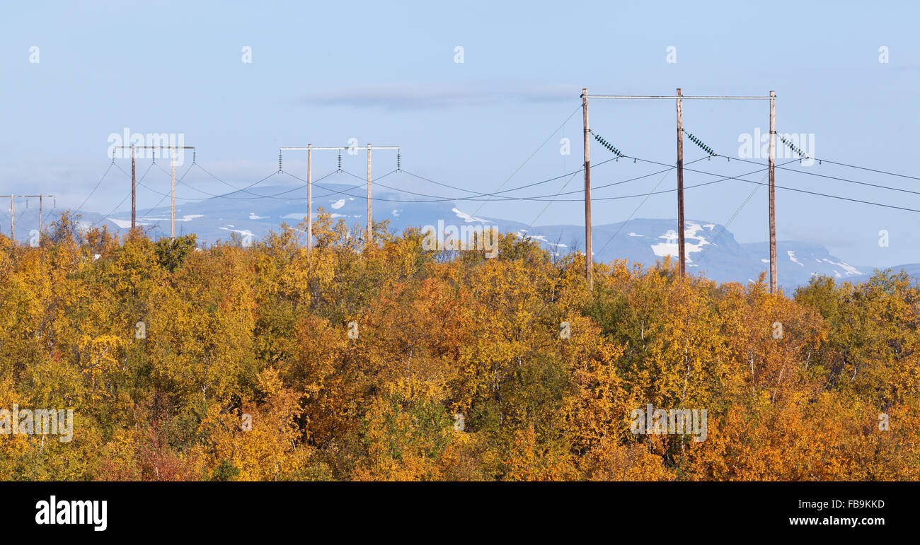 Power line in the birch forest, wires of electricity transmissions ...
