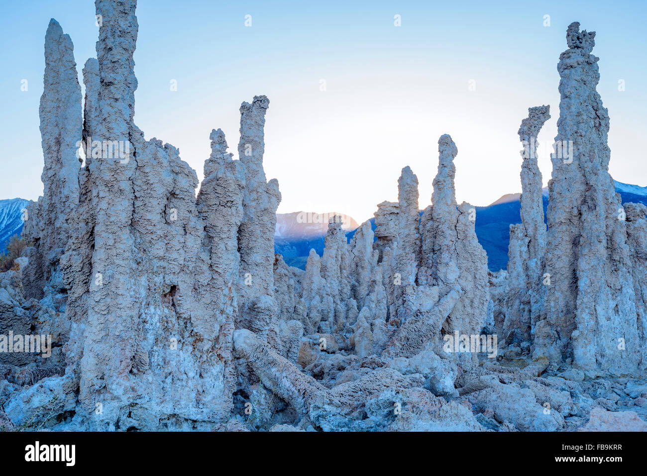 Mono lake tufa sunset sierra hi-res stock photography and images - Alamy