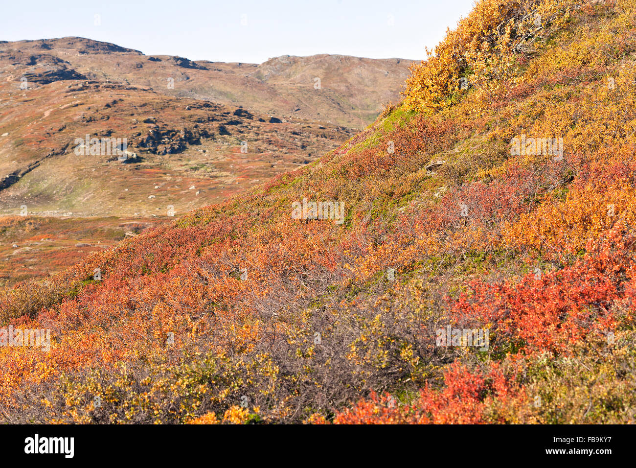 Different vegetation slope hi-res stock photography and images - Alamy