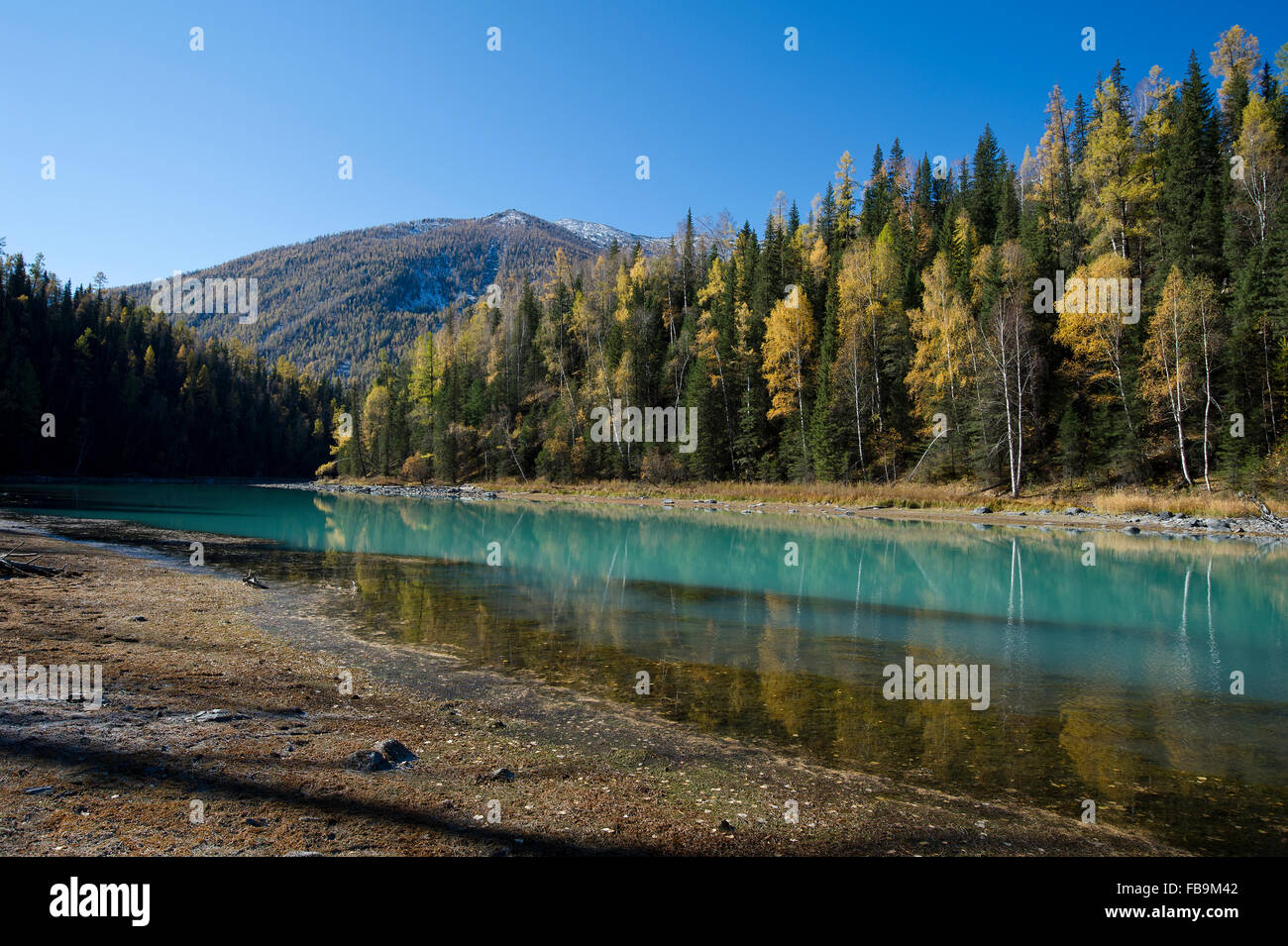 Beautiful river and forest in China Stock Photo - Alamy