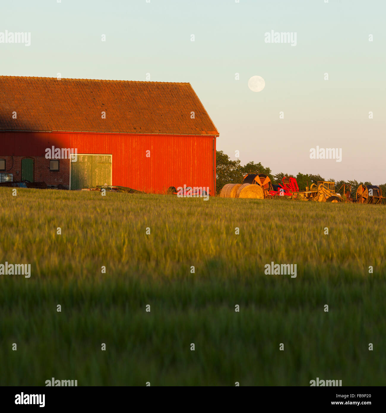 Barley farms hi-res stock photography and images - Alamy